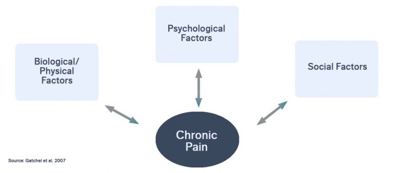 Pain Science in Practical Terms – Guelph Physiotherapy – Guelph Rehab ...